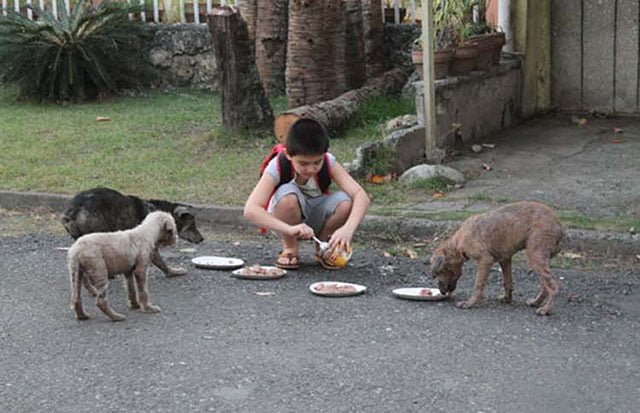 Niños te devolverán la fe en la humanidad gracias a sus acciones
