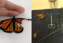 Animales Herbívoros, curiosidades, características y ejemplos